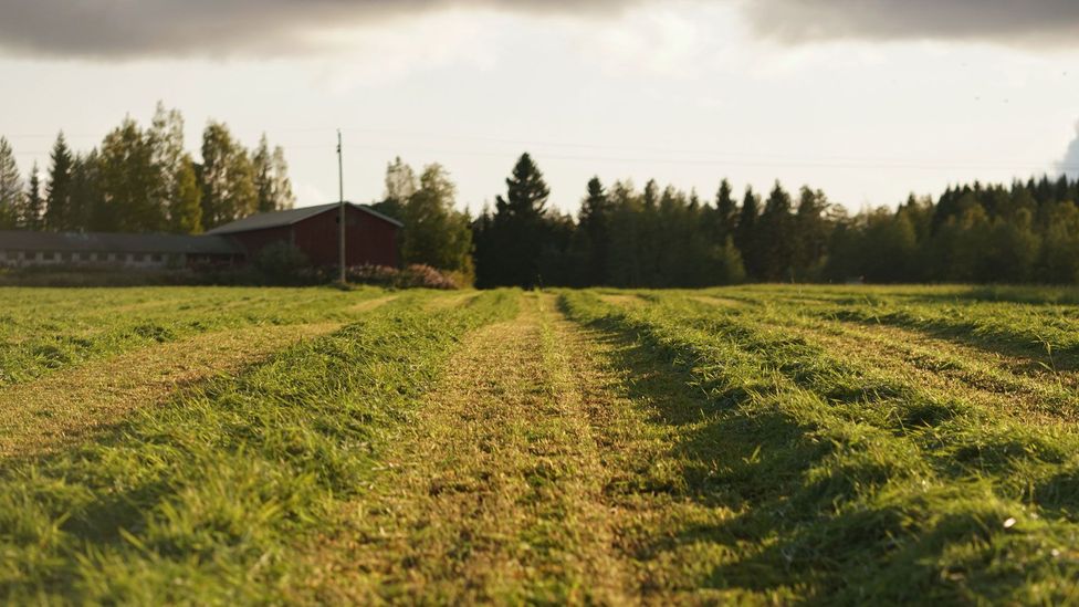 The disappearing trades of rural enclaves - BBC Worklife