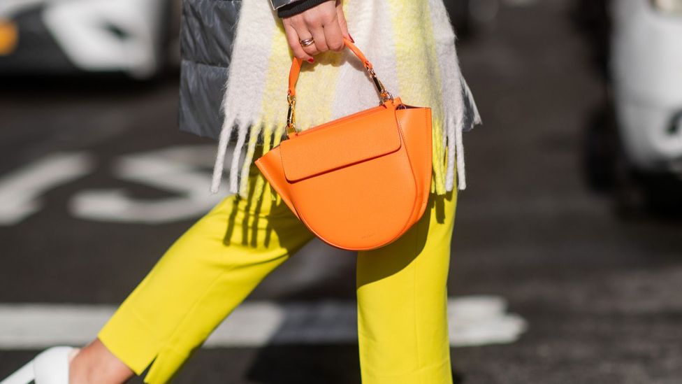 The new roots of the flower trade - BBC Reel