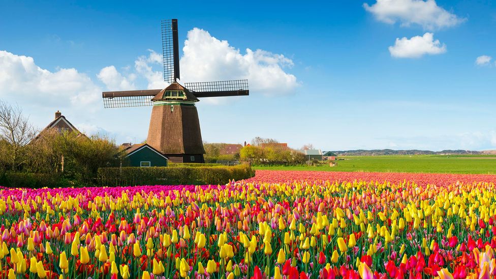 The Netherlands - BBC Travel