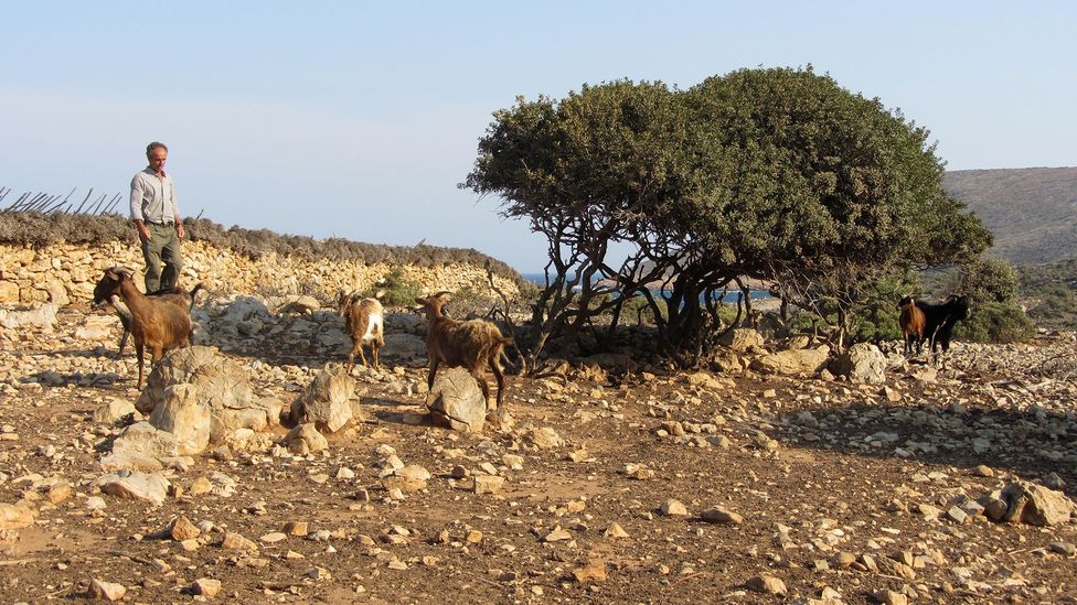 Greece’s last island paradise? - BBC Travel
