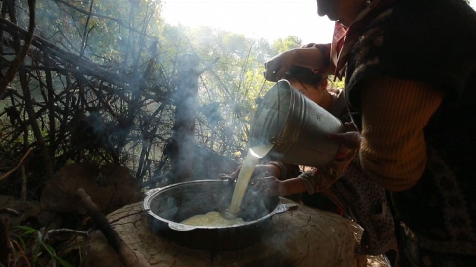 The world’s largest walnut harvest - BBC Travel