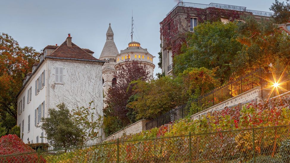 Paris’ hidden vineyards - BBC Travel