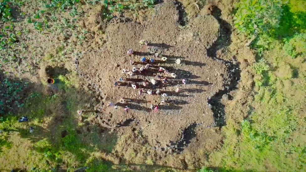 A secret pyramid consumed by the jungle - BBC Travel