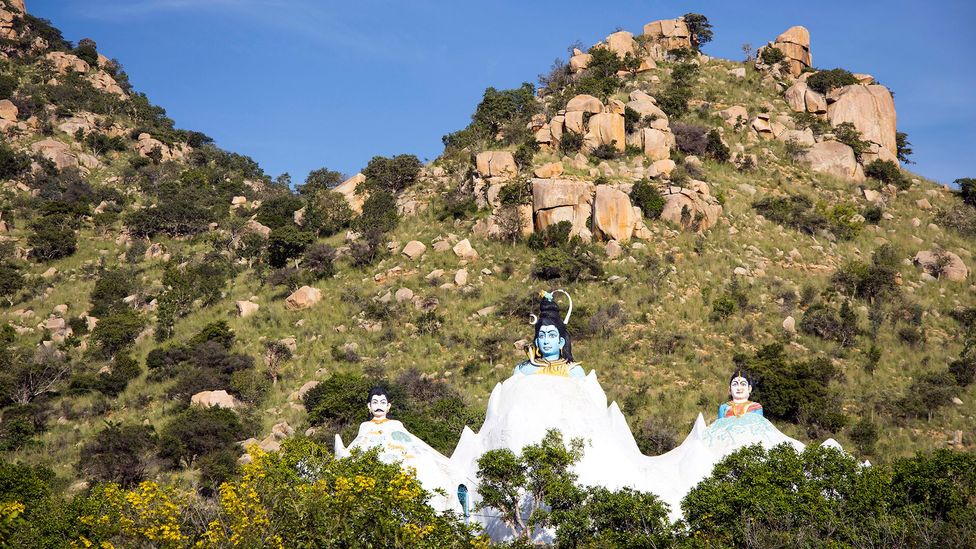 Thimmamma Marrimanu: The world’s largest single tree canopy - BBC Travel