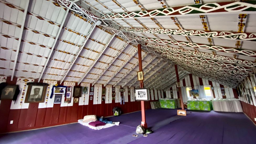 The Māori tribe protecting New Zealand’s sacred rainforest - BBC Travel