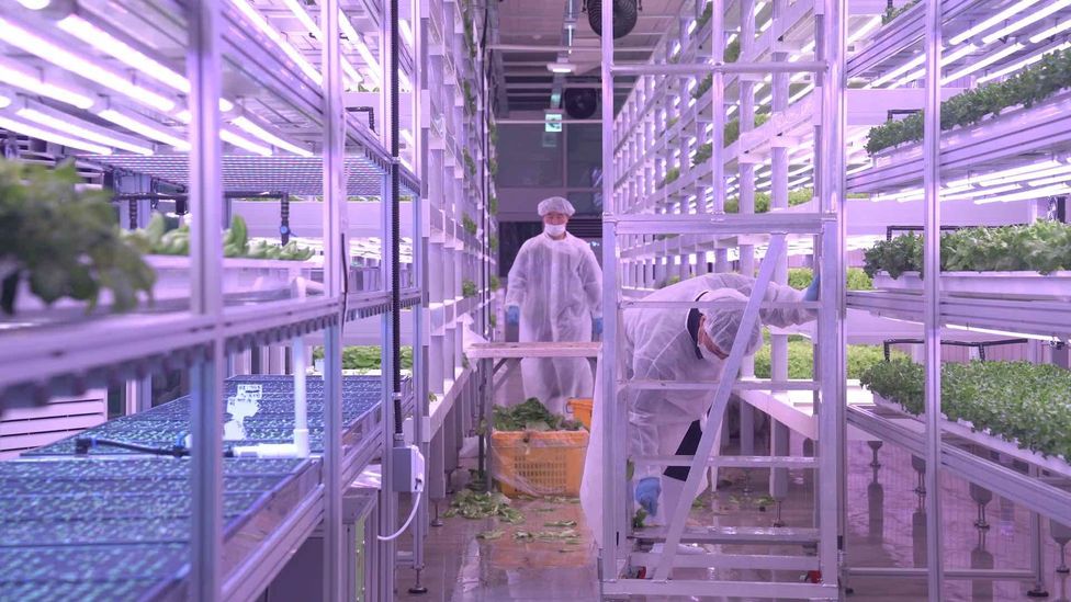 Technology - BBC Travel