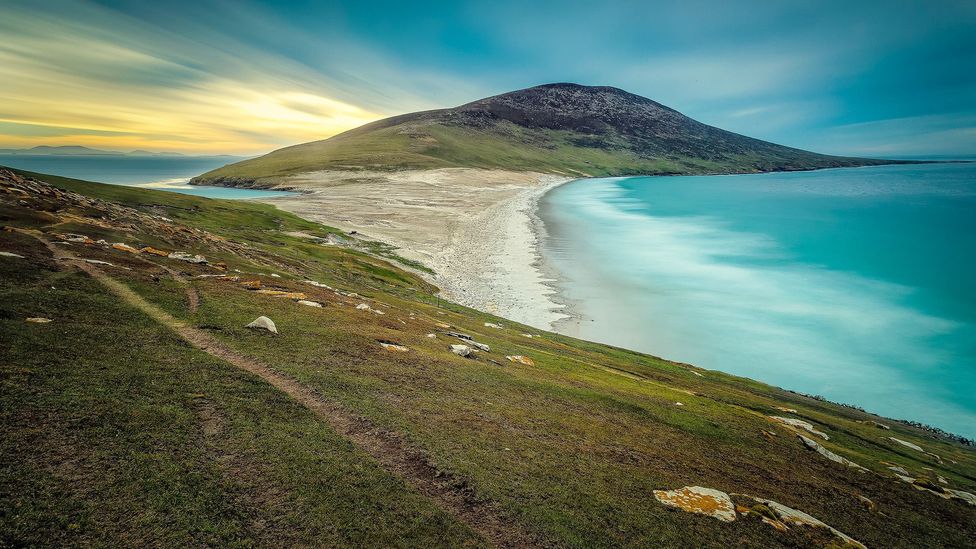 A food revolution in the Falklands - BBC Travel