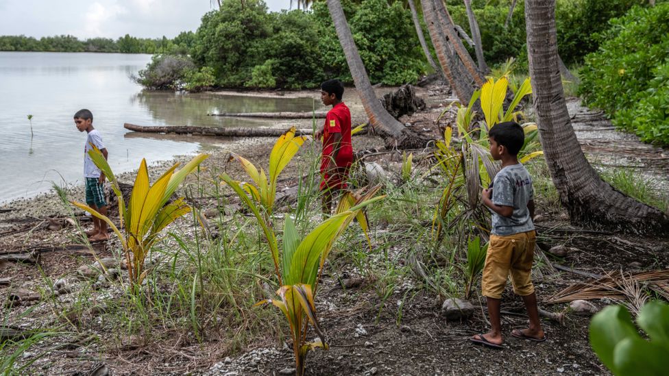 A new island of hope rising from the Indian Ocean - BBC Travel