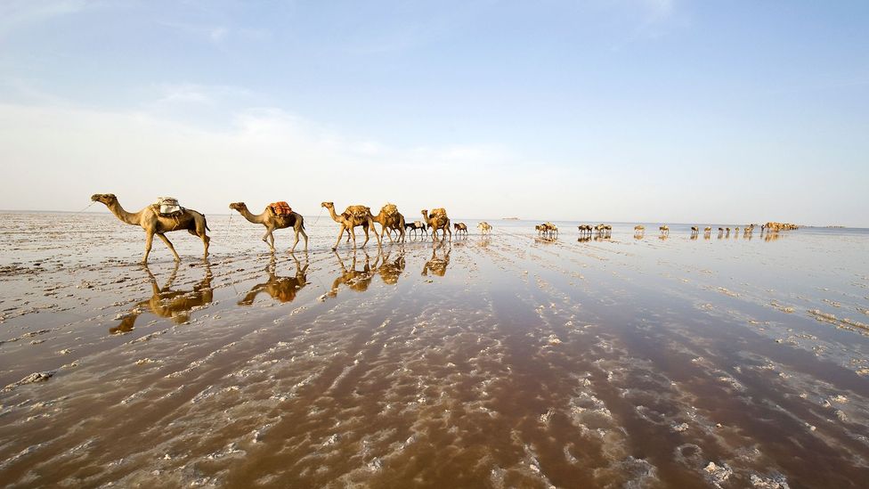 Djibouti - BBC Travel
