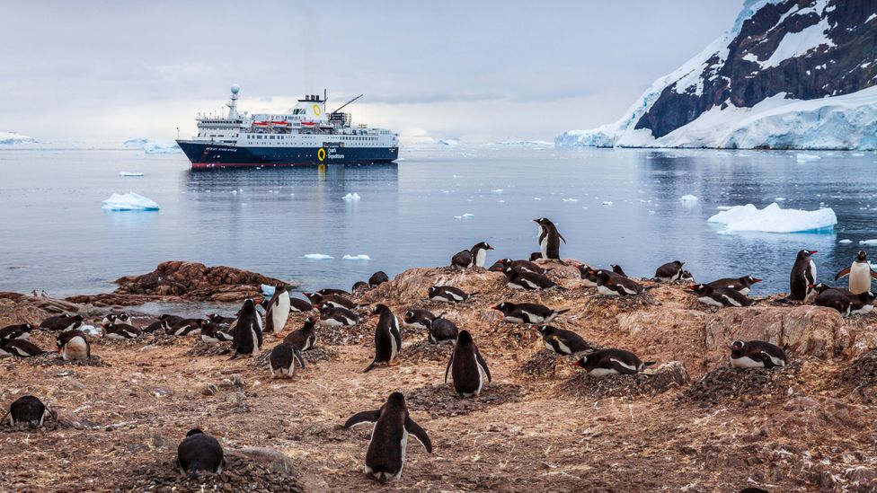 What will happen to the 7th continent? - BBC Travel