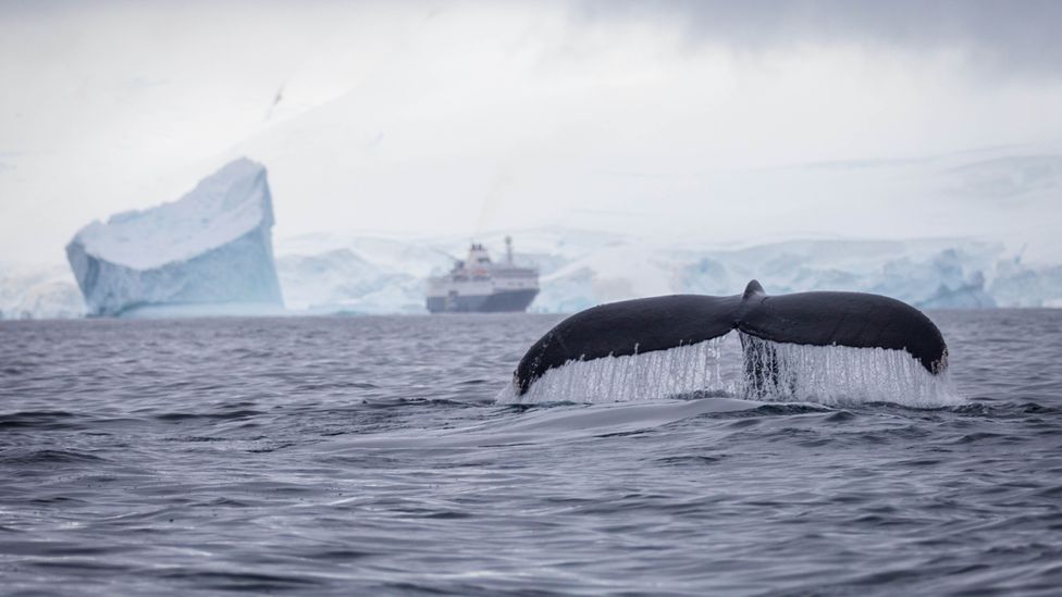 What will happen to the 7th continent? - BBC Travel