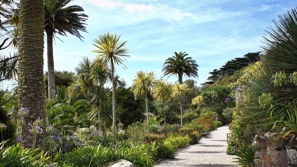 Scilly: Britain’s Mediterranean-like isles steeped in myth - BBC Travel