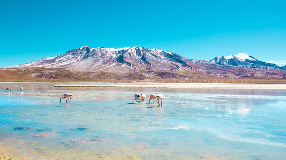 Bolivia - BBC Travel