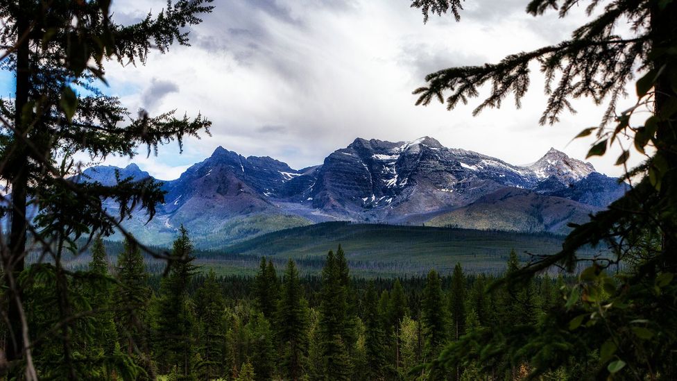 Welcome to Polebridge: One of the US' last frontiers - BBC Travel