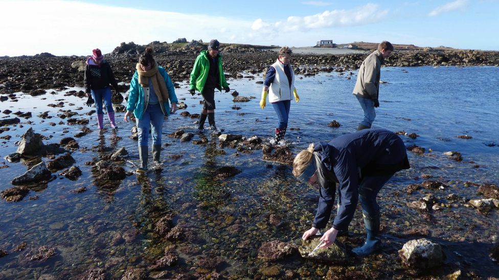 The UK seafood that could send you to jail - BBC Travel