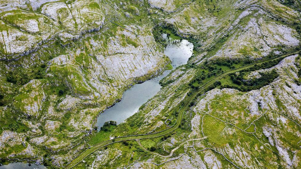 The kingdom of Ireland’s feathered royalty - BBC Reel