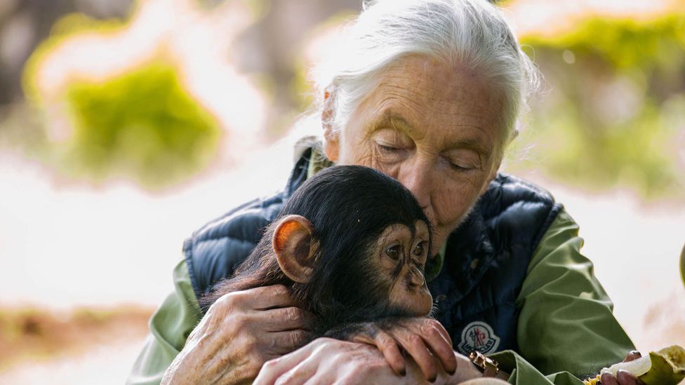 Why Jane Goodall is hopeful in 2021 - BBC Travel
