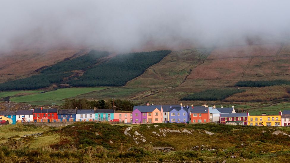 The kingdom of Ireland’s feathered royalty - BBC Reel