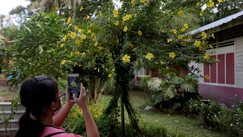 Singapore's last surviving village - BBC Travel