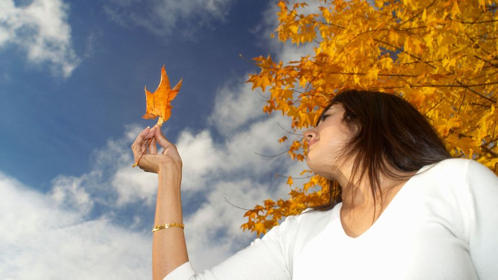 How a simple breathing trick can change your life - BBC Reel