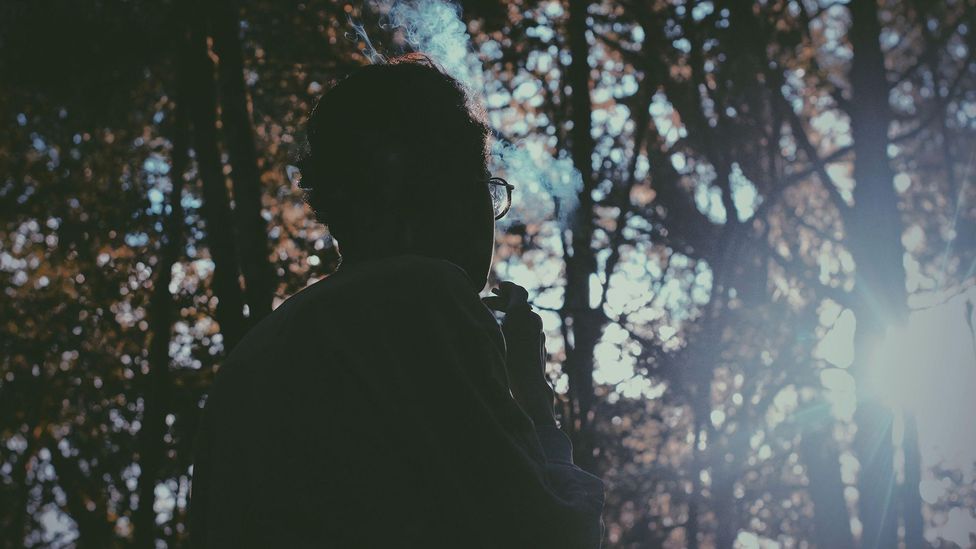 Can humanity leave nature behind? - BBC Future