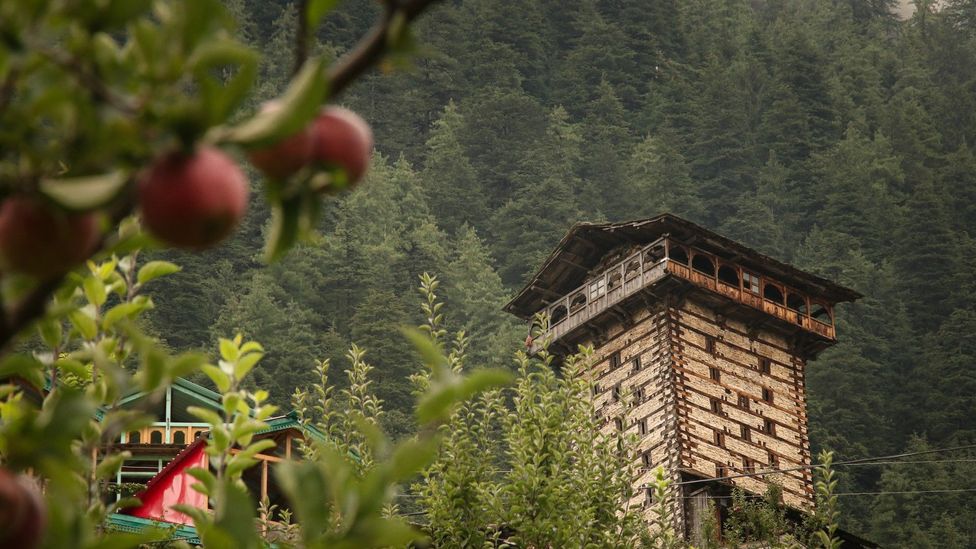 The Himalayas' ancient earthquake-defying design - BBC Travel