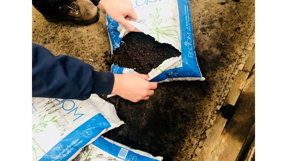 Why it's time to talk about poo - BBC Future