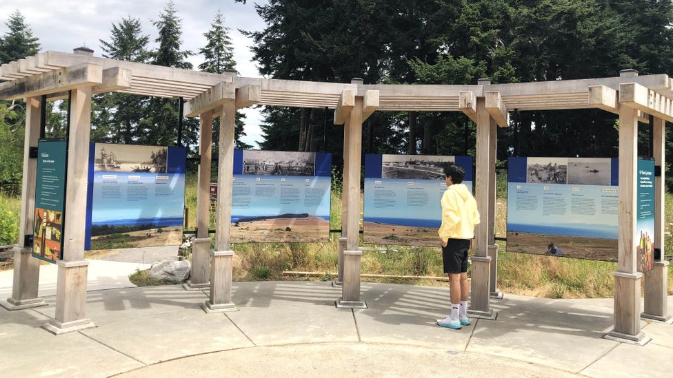 The US island that nearly ignited a war - BBC Travel