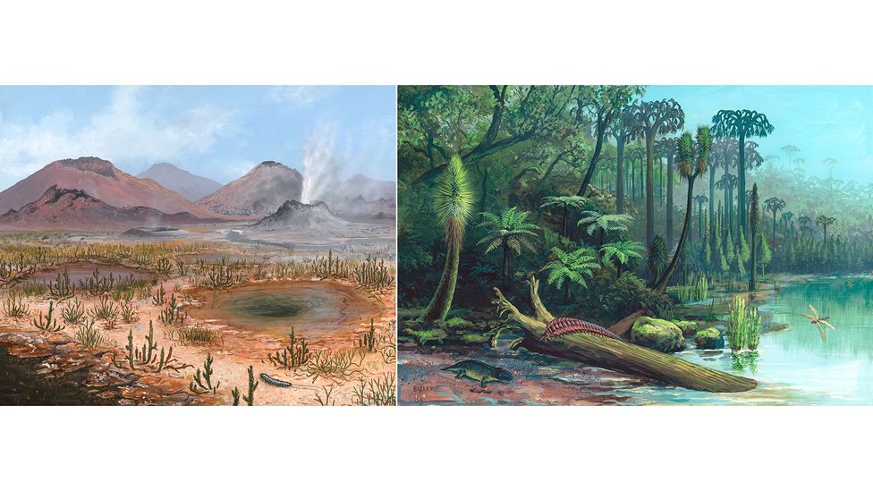 The power of your garden's hidden half - BBC Future