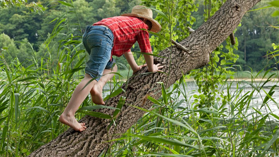 How to teach children about risk - BBC Future