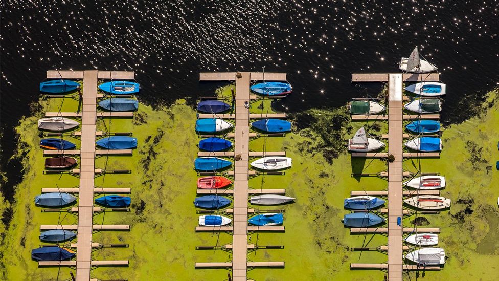 The floating solar panels that track the Sun - BBC Future