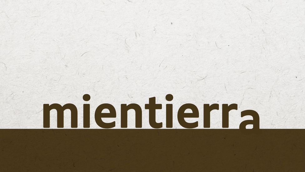 Why we need new words for life in the Anthropocene - BBC Future