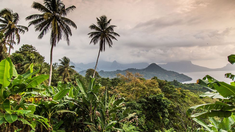 How the Chocolate Islands are rediscovering their roots - BBC Travel