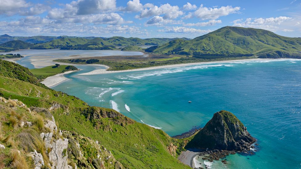 Six of the best ways to immerse yourself in nature around Dunedin - BBC ...