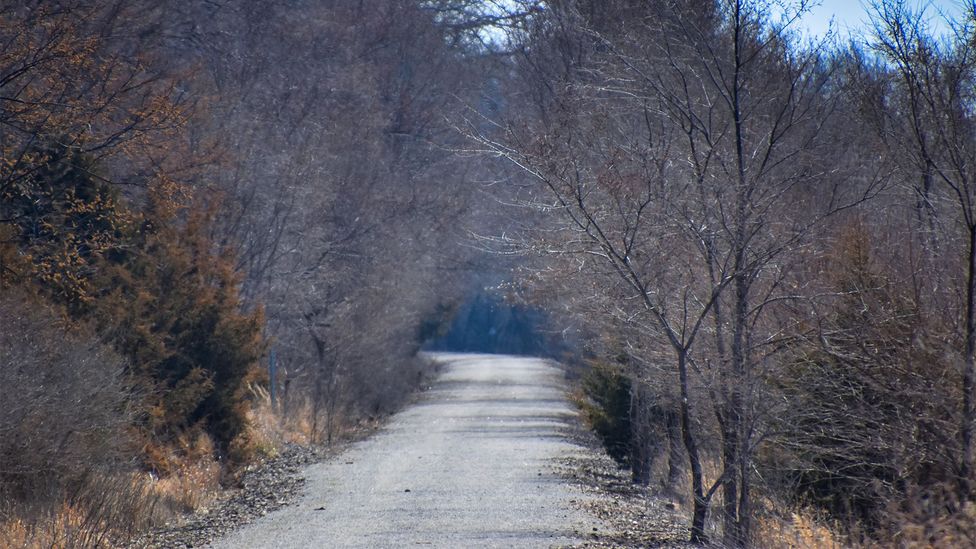 The Indigenous tribes reclaiming travel - BBC Travel