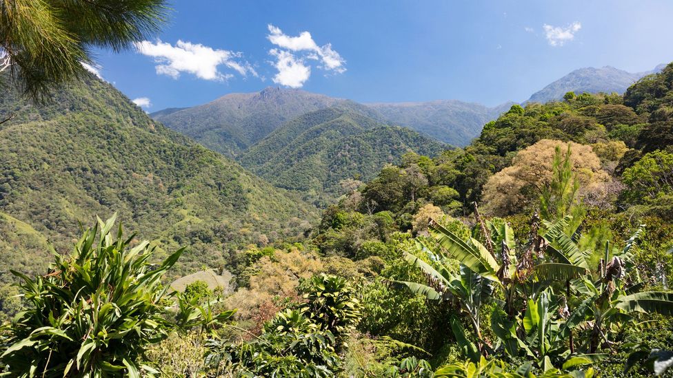Pura Vida: Costa Rica's uniquely positive outlook on life - BBC Travel