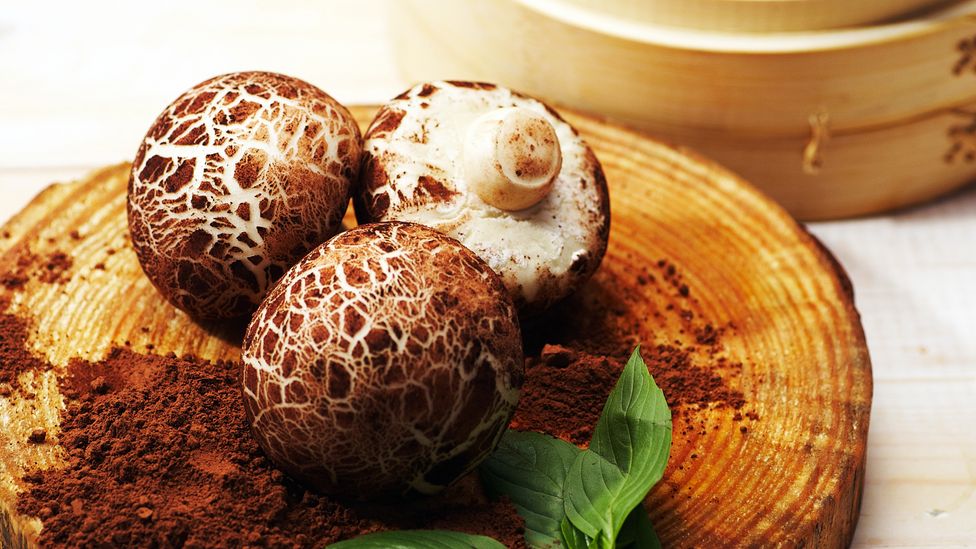 From luxe to quirky and fun, the five best dim sum spots in Singapore ...