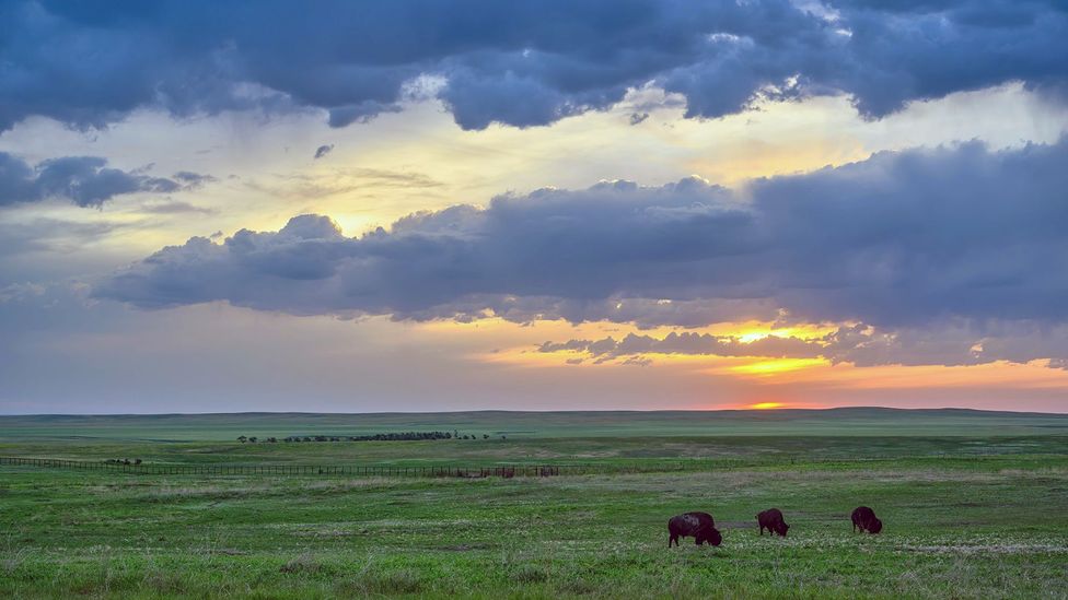 A national awakening to the Great Plains' gourmet bounty - BBC Travel