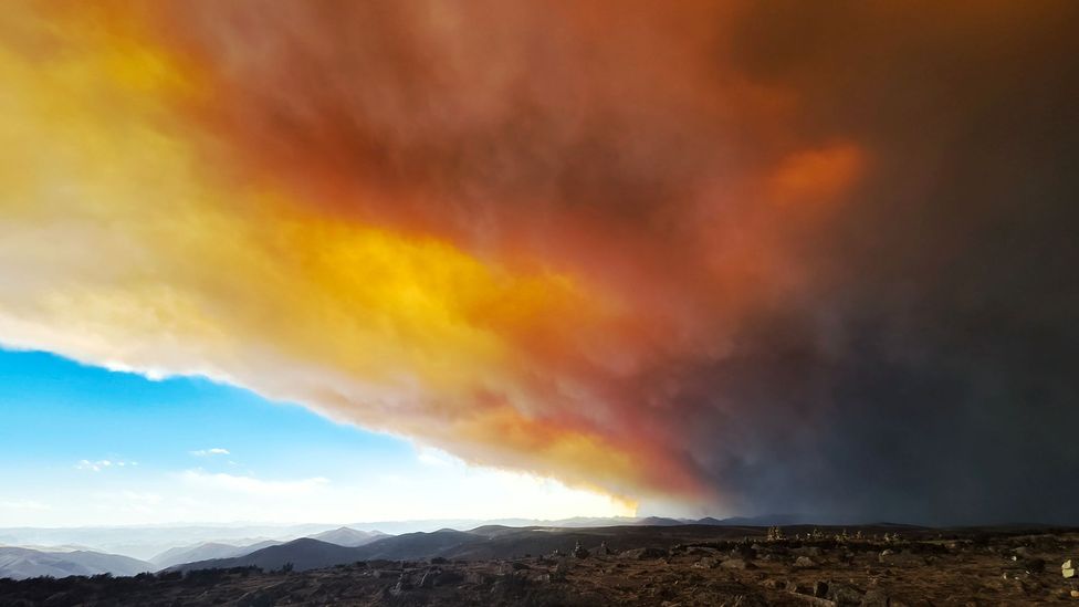 Exploding craters and overflowing landfills are unexpected sources of ...