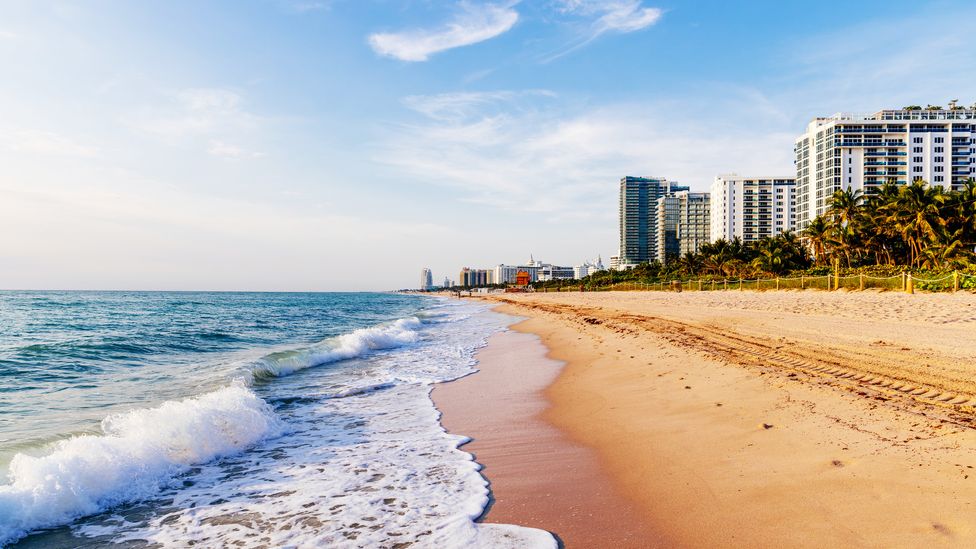 A full throttle weekend guide to Miami - BBC Travel
