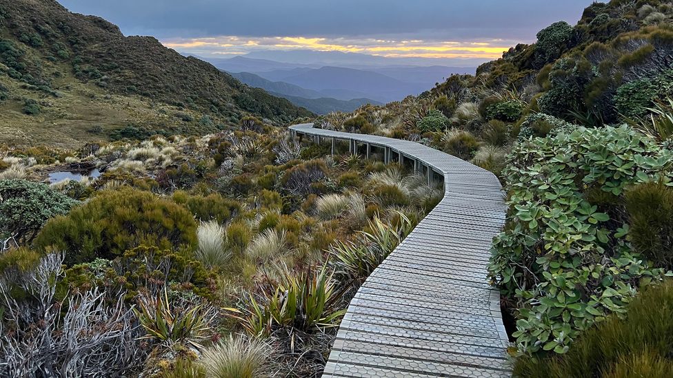 Why New Zealand’s newest Great Walk is so important - BBC Travel