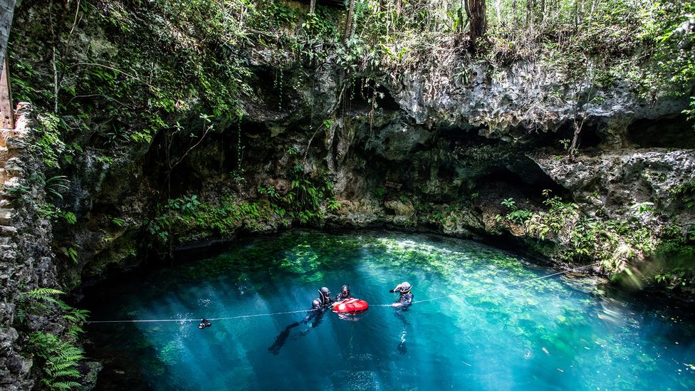 The hidden wonders of Mexico's sacred underwater world - BBC Travel