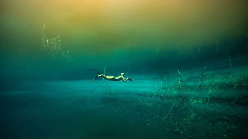 The hidden wonders of Mexico's sacred underwater world - BBC Travel