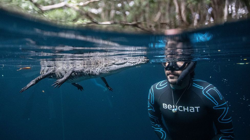 The hidden wonders of Mexico's sacred underwater world - BBC Travel