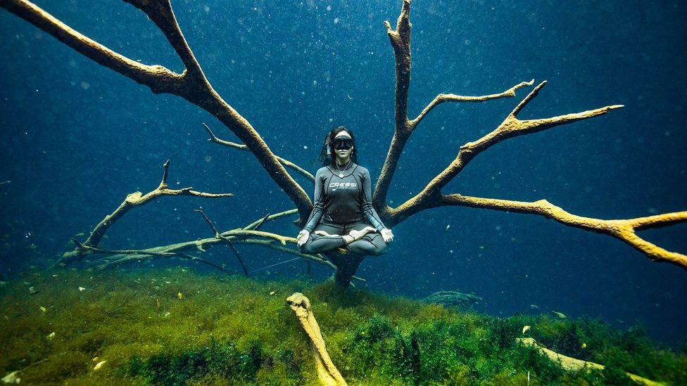 The hidden wonders of Mexico's sacred underwater world - BBC Travel
