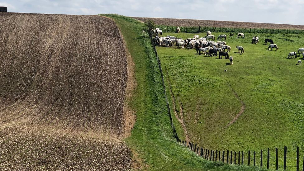 The Ridgeway: Hike the 5,000-year-old pathway that's Britain's oldest ...