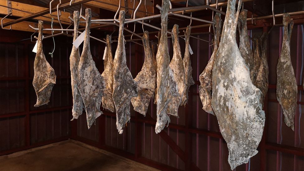 The European nation ruled by sheep - BBC Travel