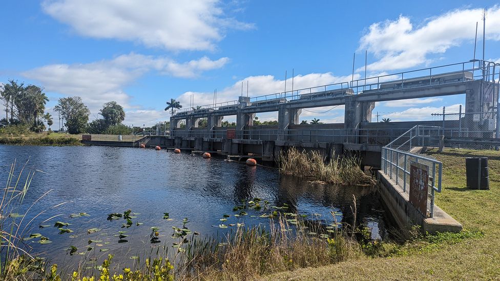 Florida is building the world's largest environmental restoration ...