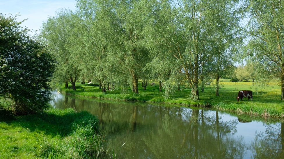 The River Waveney: The 'secret' UK waterway most Brits don't know - BBC ...
