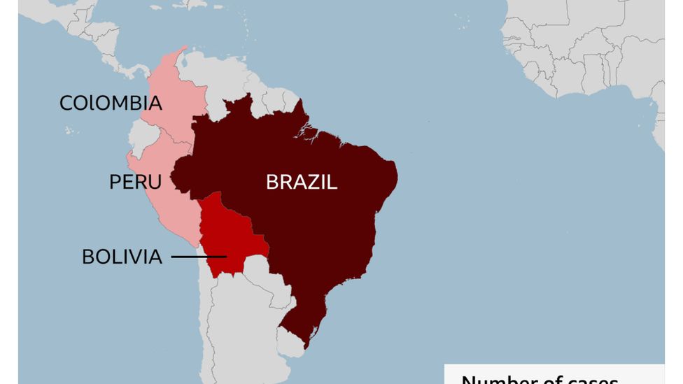 Oropouche: The mysterious 'sloth virus' with no treatment - BBC Future